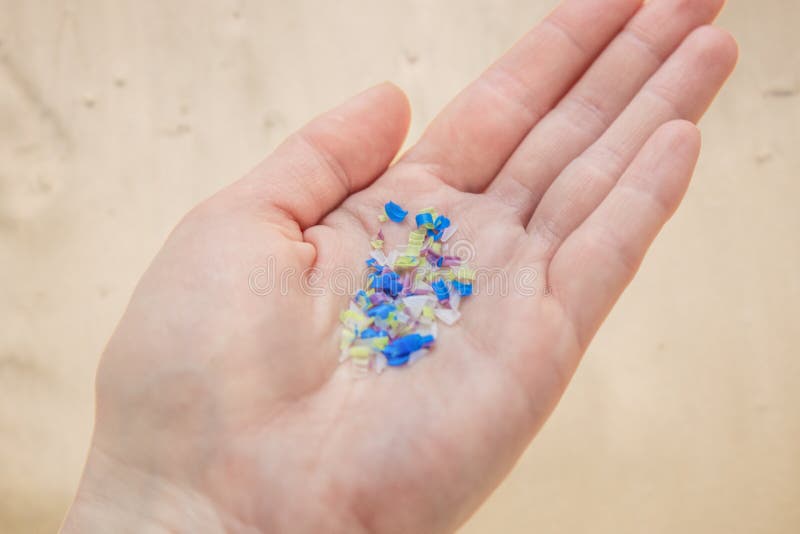 Microplastic in the Hand of a Man on the Beach. Environmental Pollution ...