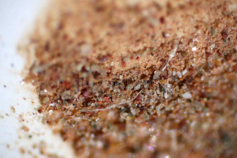 Microplastics Inside the Soil. Concept of Global Warming and Climate ...