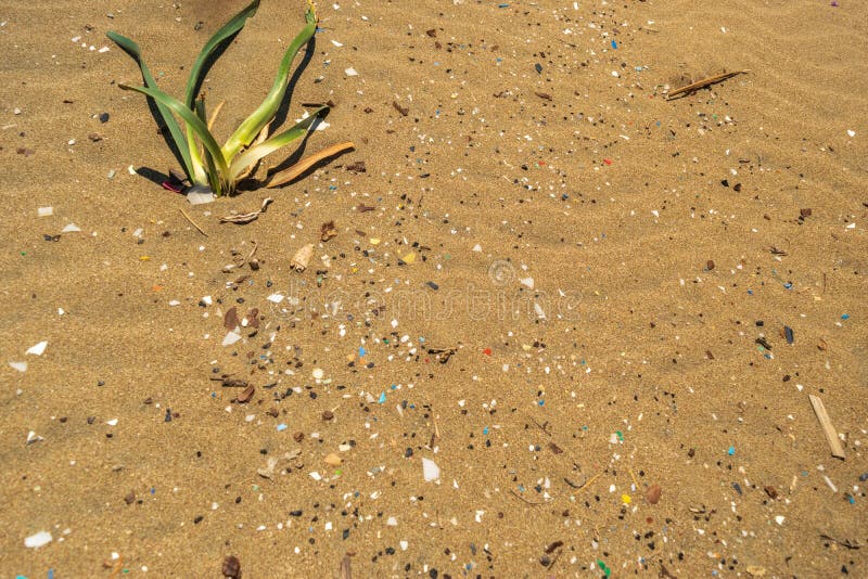 Microplastics on Sand Beach Stock Photo - Image of disposal, pieces ...