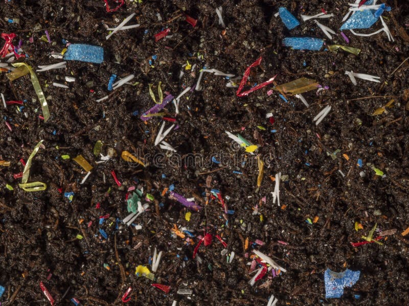 Microplastics in Soil , Soil Sample Stock Photo - Image of nature ...