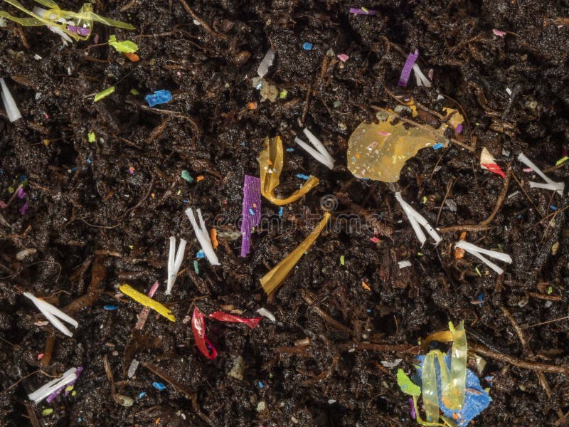 Microplastics in Soil , Soil Sample Stock Image - Image of human ...