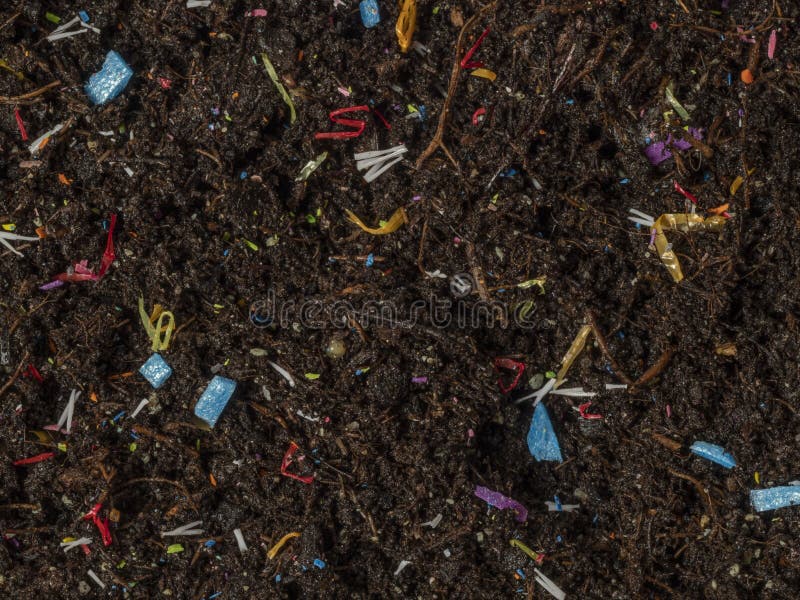 Microplastics in Soil a Test Tube with Soil Sample Stock Image - Image ...