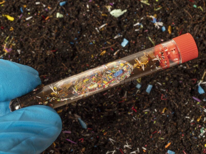 Microplastics in Soil a Test Tube with Soil Sample Stock Photo - Image ...