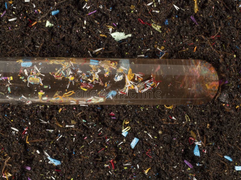 Microplastics in Soil a Test Tube with Soil Sample Stock Photo - Image ...