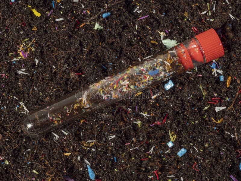 Microplastics in Soil a Test Tube with Soil Sample Stock Image - Image ...
