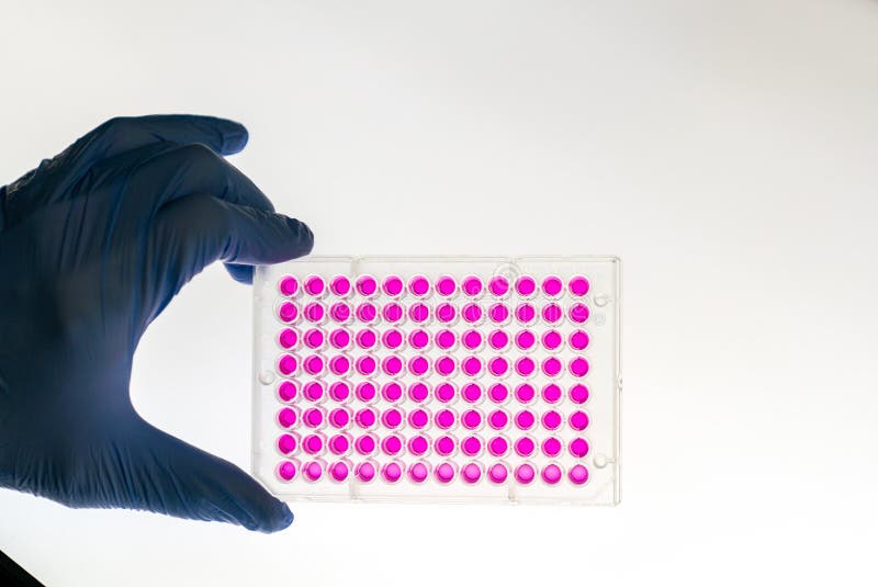 A Microplate or Microtiter Plate or Microwell Plate, Multiwell, is a ...