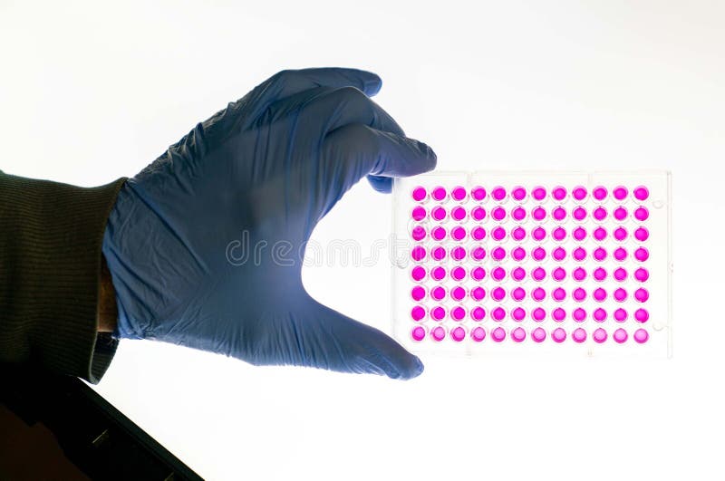 A Microplate or Microtiter Plate or Microwell Plate, Multiwell, is a ...