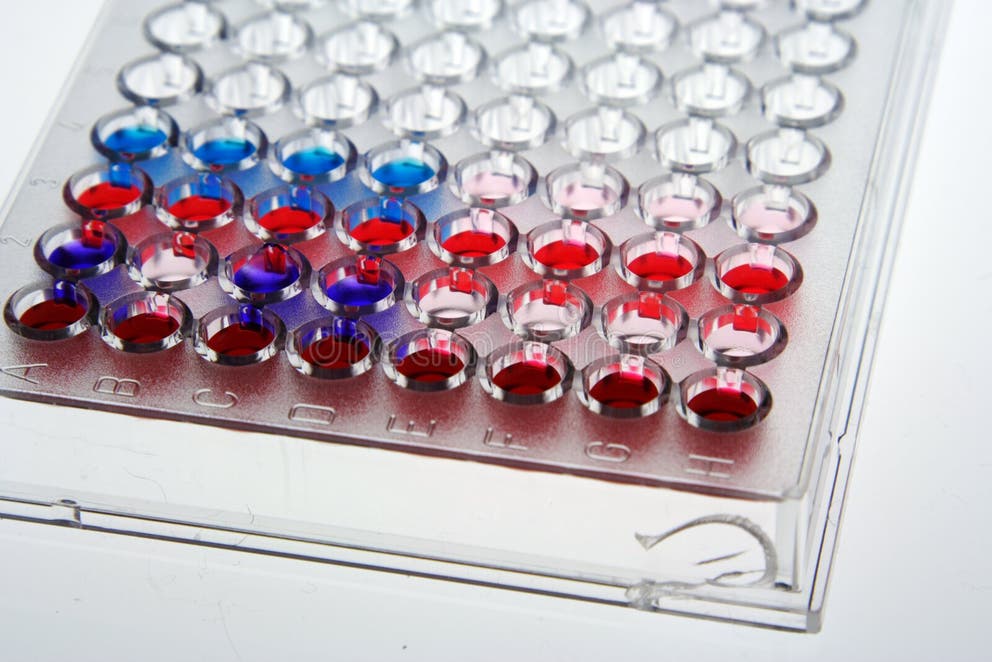 Microplates test stock image. Image of equipment, chemical - 7031339