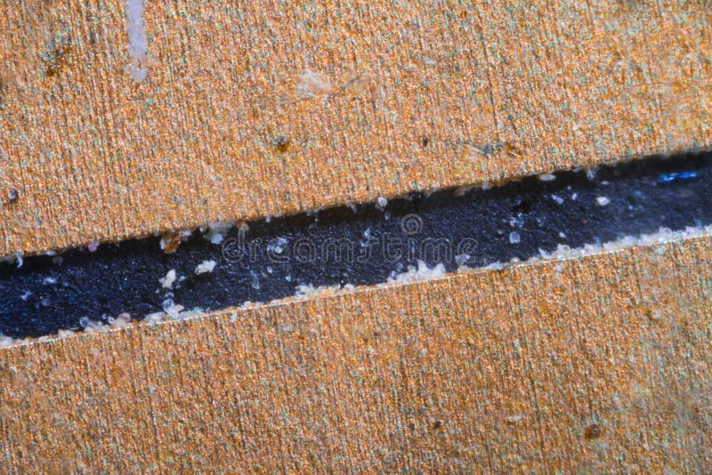 Microprocesador De NFC Debajo Del Microscopio Foto de archivo - Imagen ...