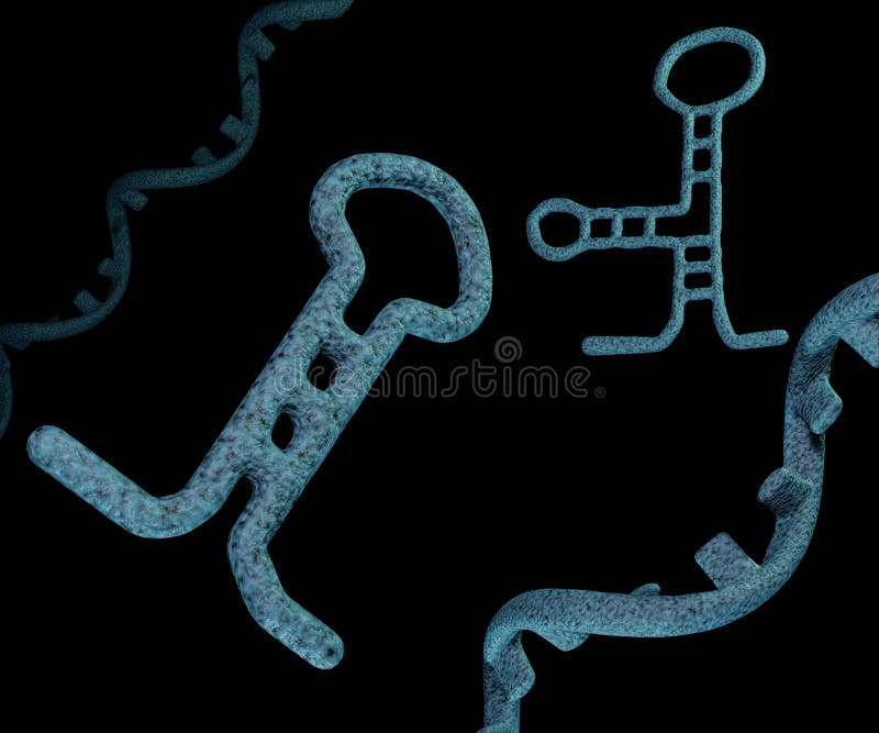 Micrornas Stock Illustrations – 6 Micrornas Stock Illustrations ...