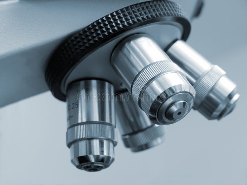 Laboratoriummuis Onder De Microscoop Stock Foto - Image of microscoop ...