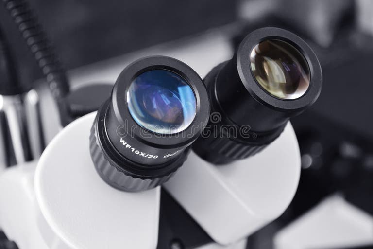 198,888 Microscope Stock Photos - Free & Royalty-Free Stock Photos from ...