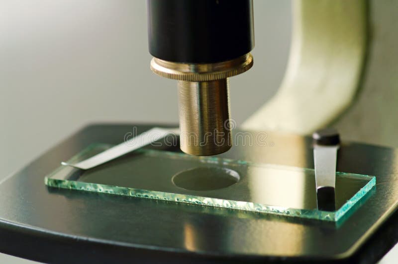 Microscope photo stock. Image du médecine, laboratoire - 4507754