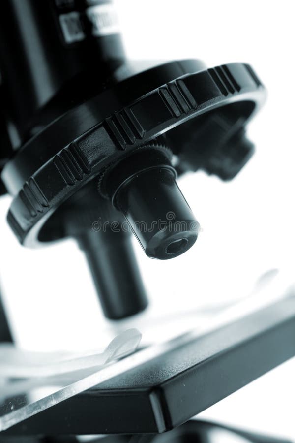 Conducting an Observation Experiment Using a Laser-backed Microscope ...