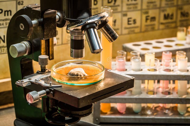 Microscope in Chemical Laboratory with Samples Stock Photo - Image of ...
