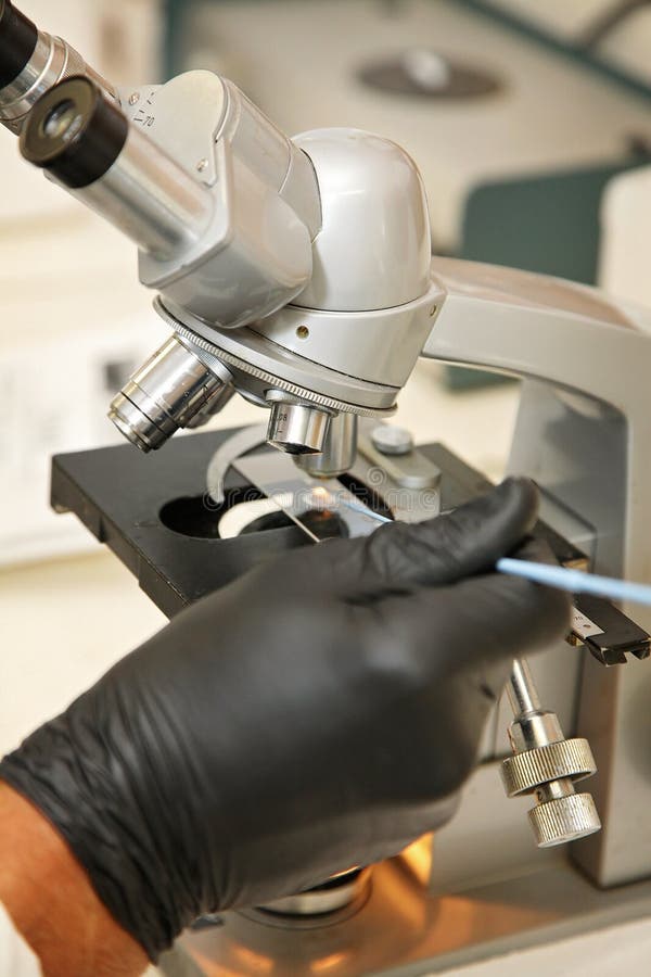 Microscope stock photo. Image of liquid, human, health - 65648980