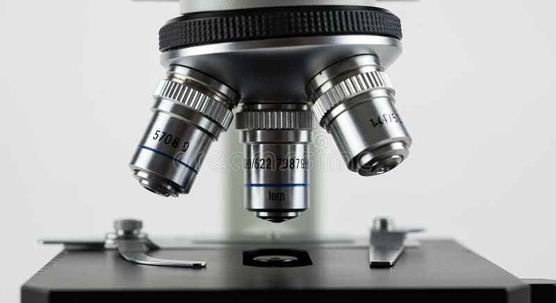 Microscope Close-up Showing Three Objectives for Scientific Research ...
