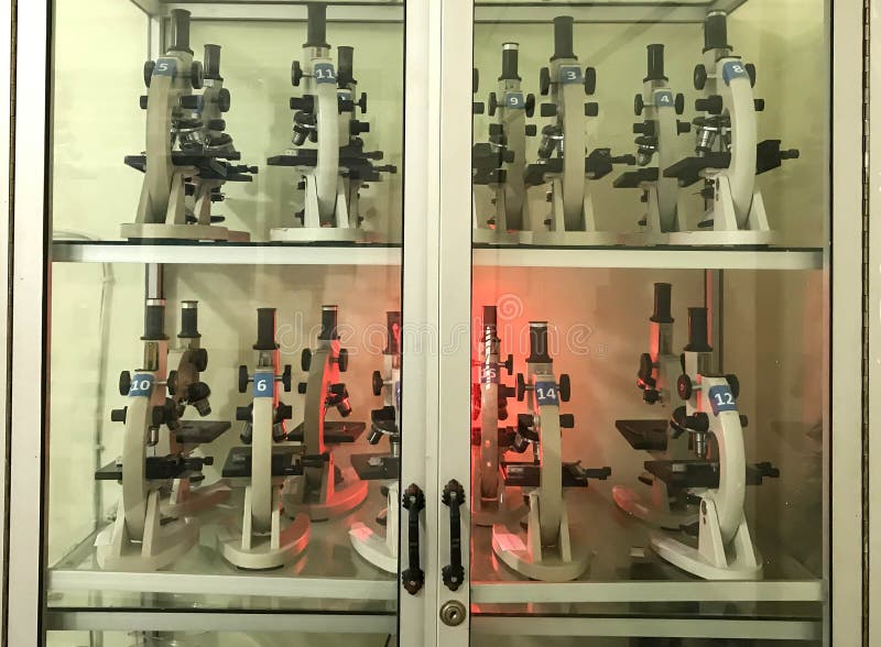 Hospital Storage Cupboard Stock Photos - Free & Royalty-Free Stock ...