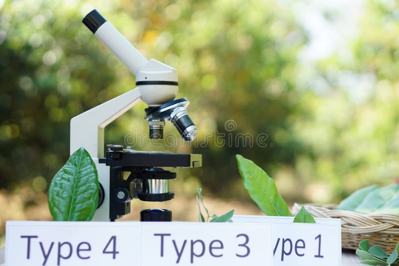 Microscope for Doing Science Experiment Outdoor. Stock Image - Image of ...