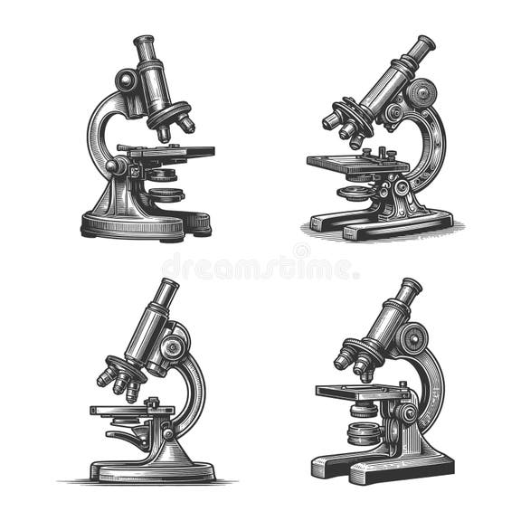 Microscope Engraving Set Vector Collection Stock Illustration ...