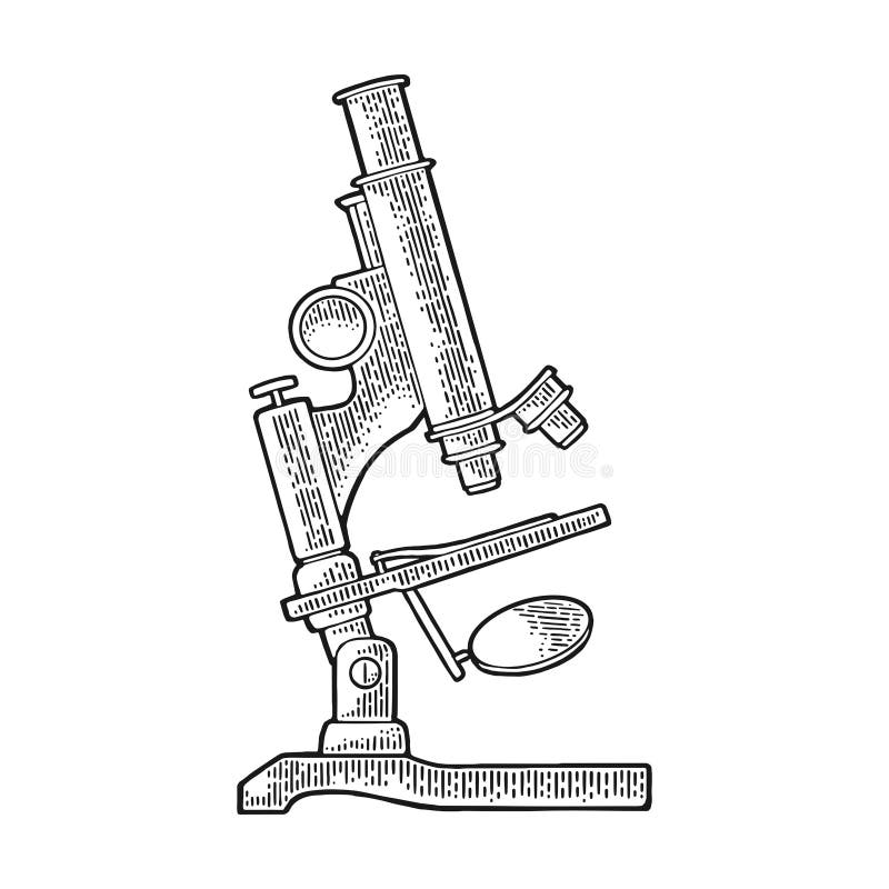 Microscope. Engraving Vintage Vector Black Illustration Stock Vector ...