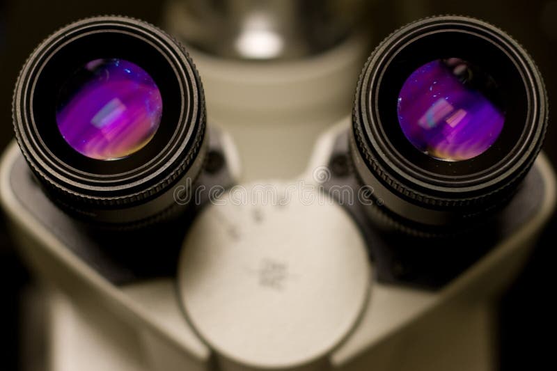 Microscope eye pieces stock photo. Image of laboratory - 11572558