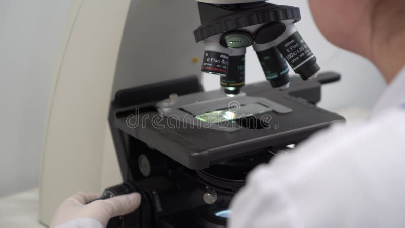 Microbiology or Pharmacology. Yellow Liquid in Tube at Laboratory ...