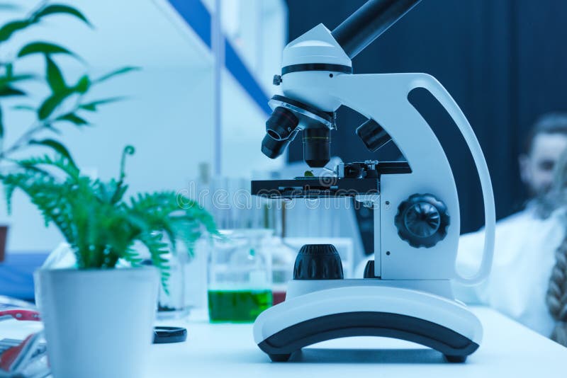 Microscope and Green Plants Standing on Table Stock Photo - Image of ...