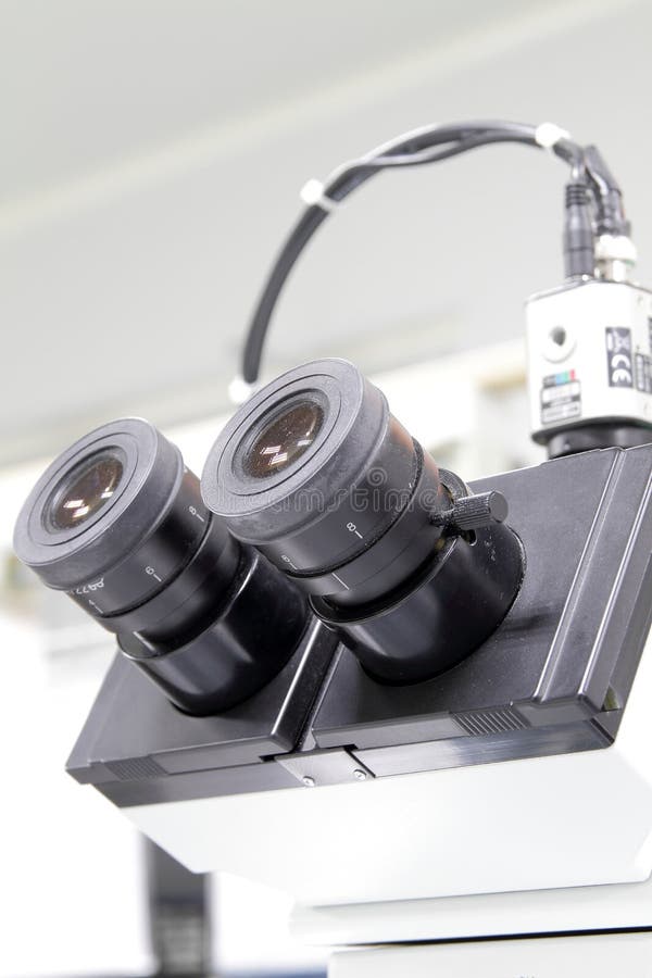 Microscope stock image. Image of scientific, macro, biotechnology ...