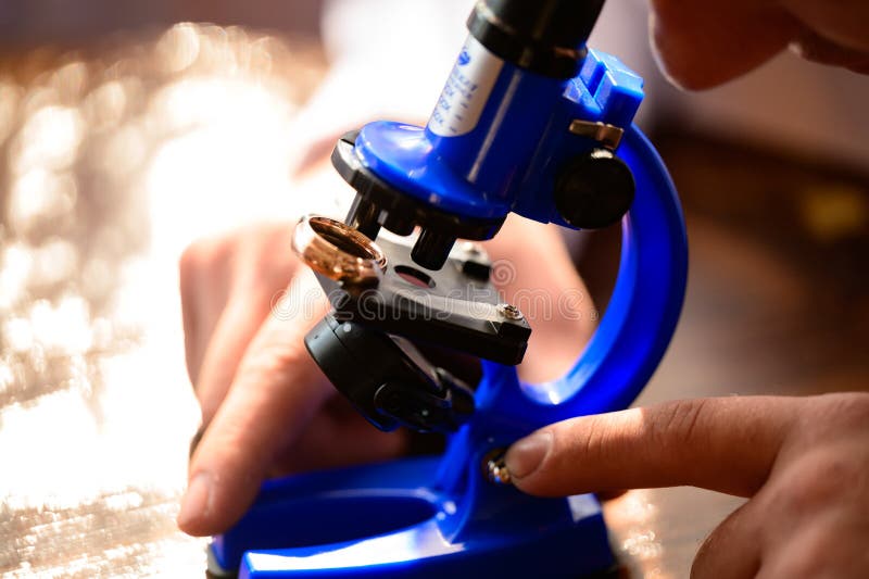 Microscope and Human Hands, a Laboratory Technician Conducts Research ...