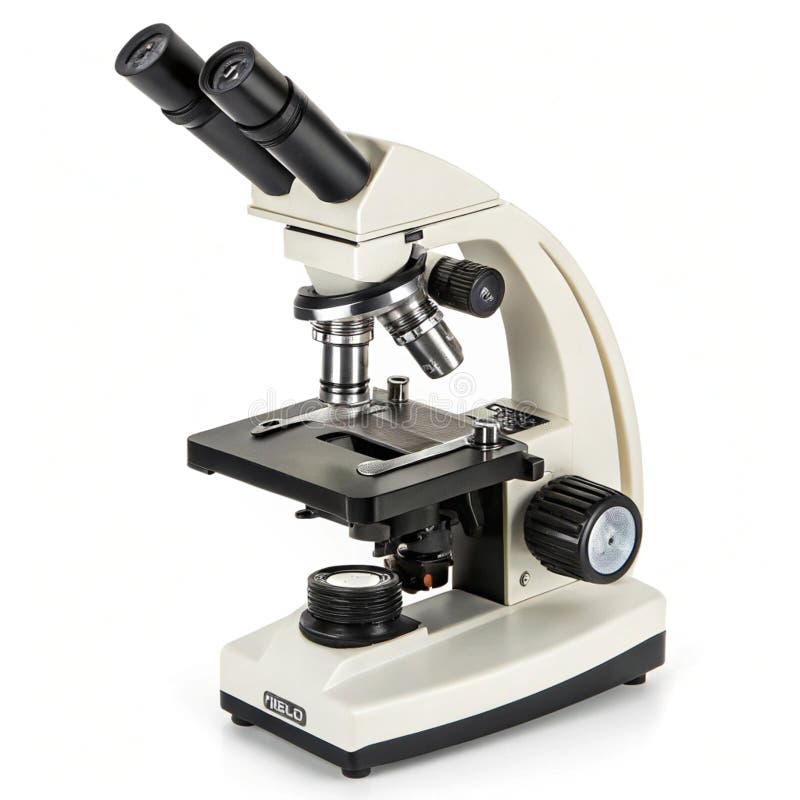 Microscope Isolated on White Background Stock Illustration ...