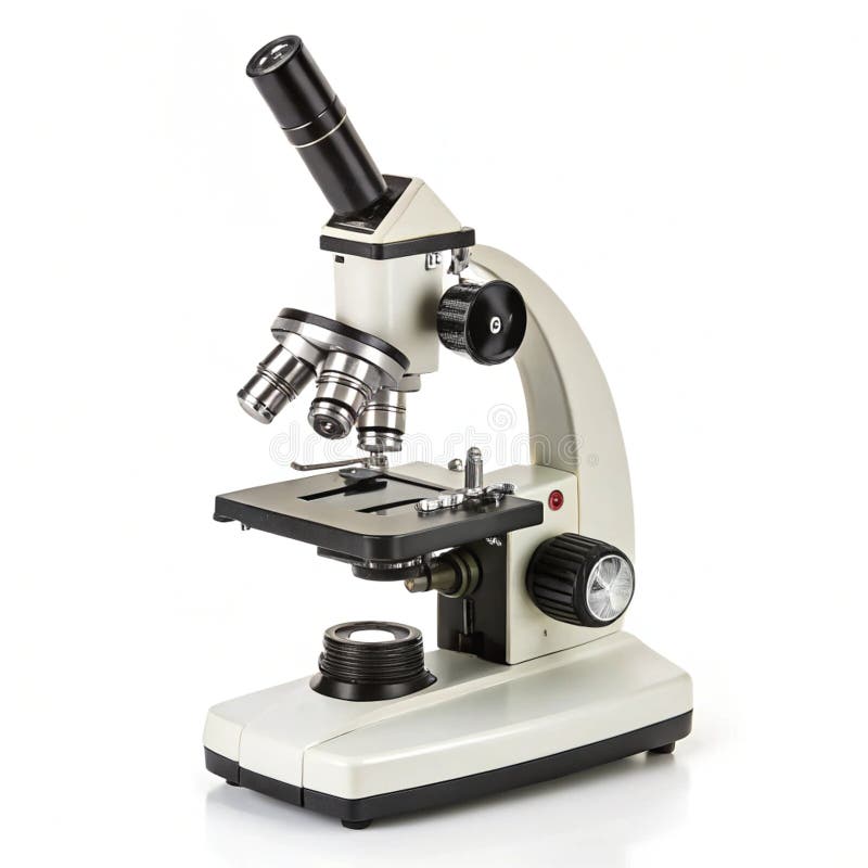 Microscope Isolated on White Background Stock Illustration ...