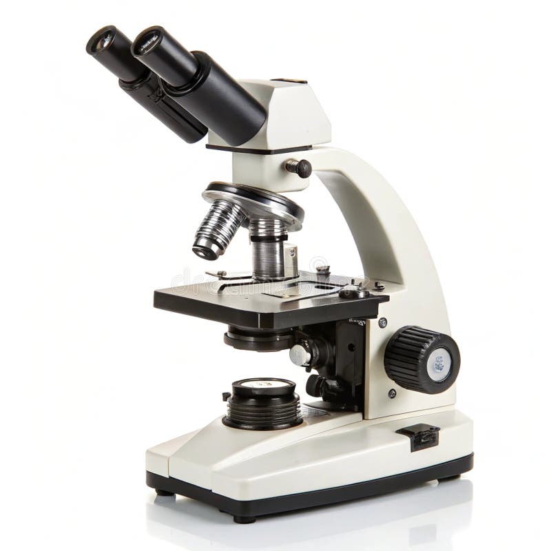 Microscope Isolated on White Background Stock Illustration ...