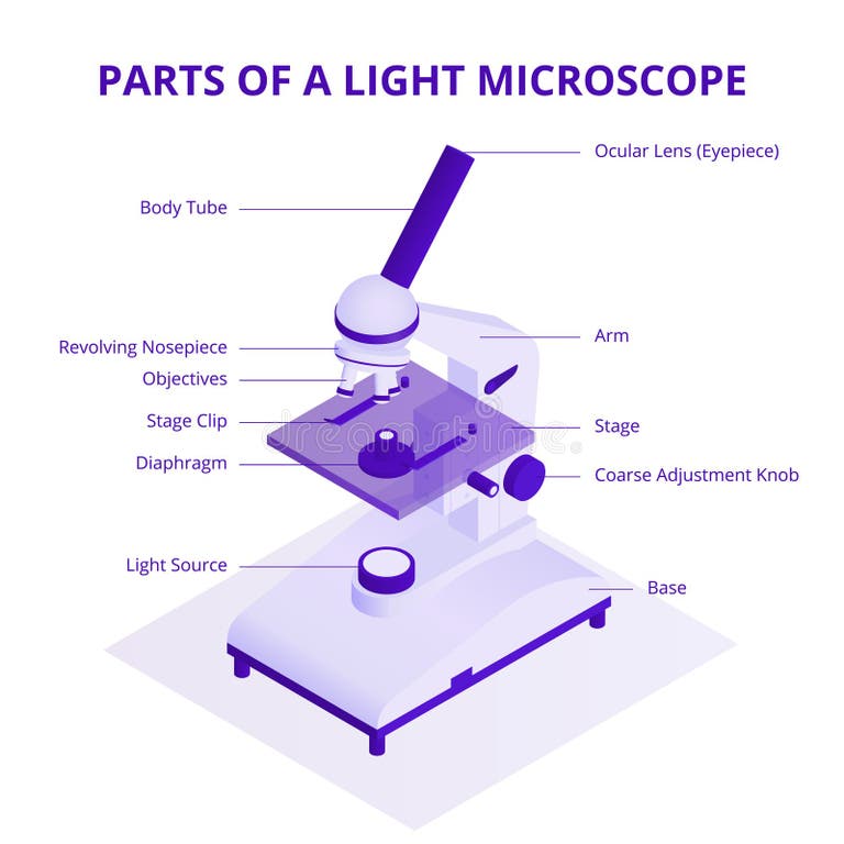 Microscope Isometric Illustration with Light Microscope Parts ...