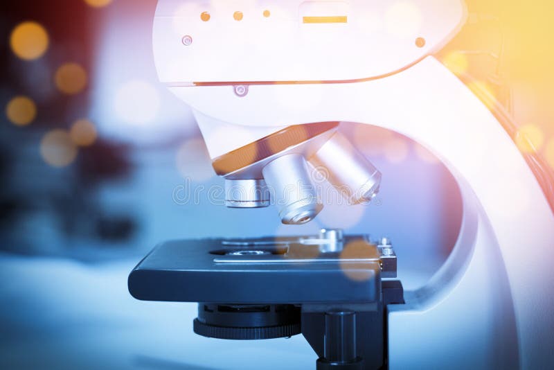 Free Stock Photos & Images - Royalty-Free & CC0 Public Domain Images by ...