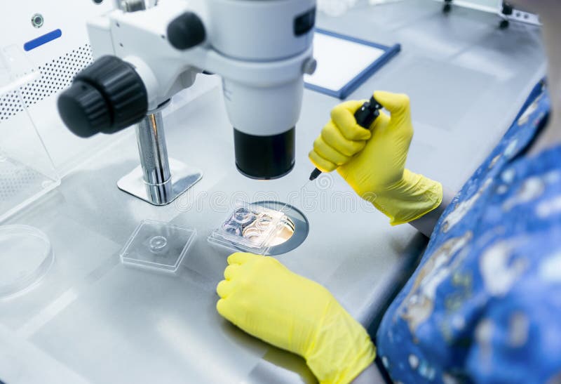 Microscope in a Laboratory Environment Stock Photo - Image of ...
