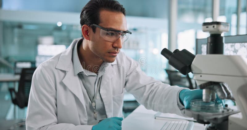 Microscope, Man and Scientist with Petri Dish in Lab for DNA Research ...