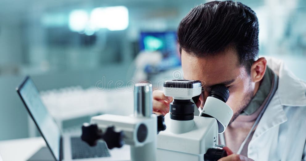 Microscope, Man or Scientist in Research Laboratory for Medical Test or ...