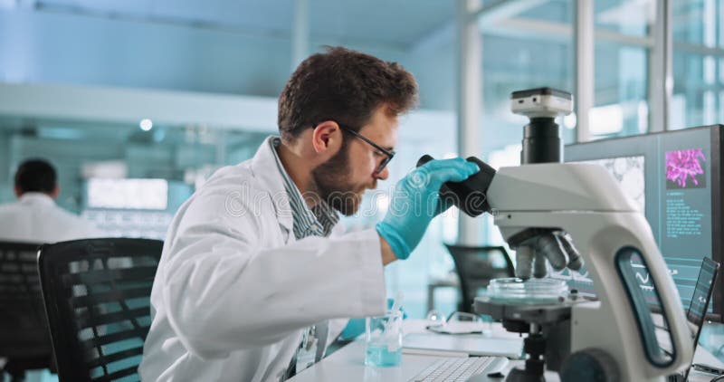 Microscope, Man and Scientist with Tablet in Laboratory for DNA ...