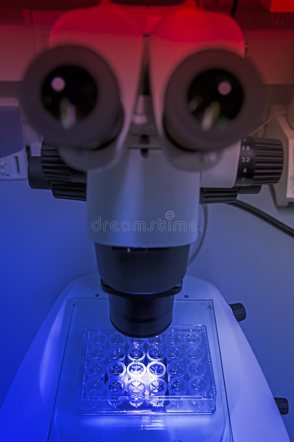 Microscope in the Mystical Light Stock Photo - Image of blue ...