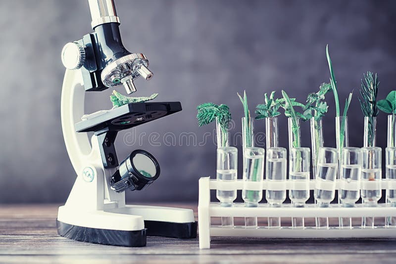 Microscope and Test Partings on the Table in the Laboratory Stock Image ...