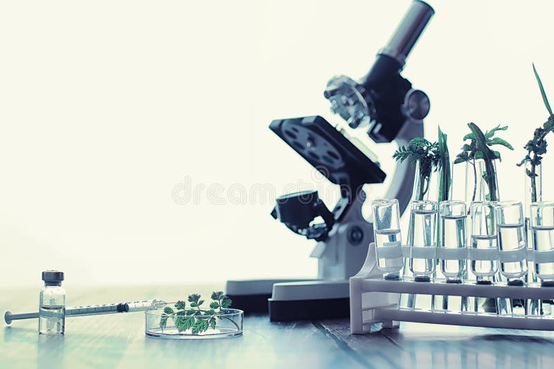 Microscope and Test Partings on the Table in the Laboratory. Stock ...