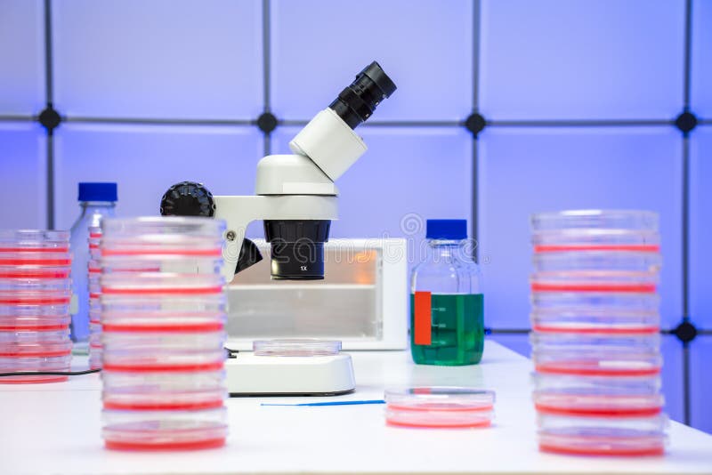 Microscope and Petri Dish with Biological Sample on Clinical Workbench ...