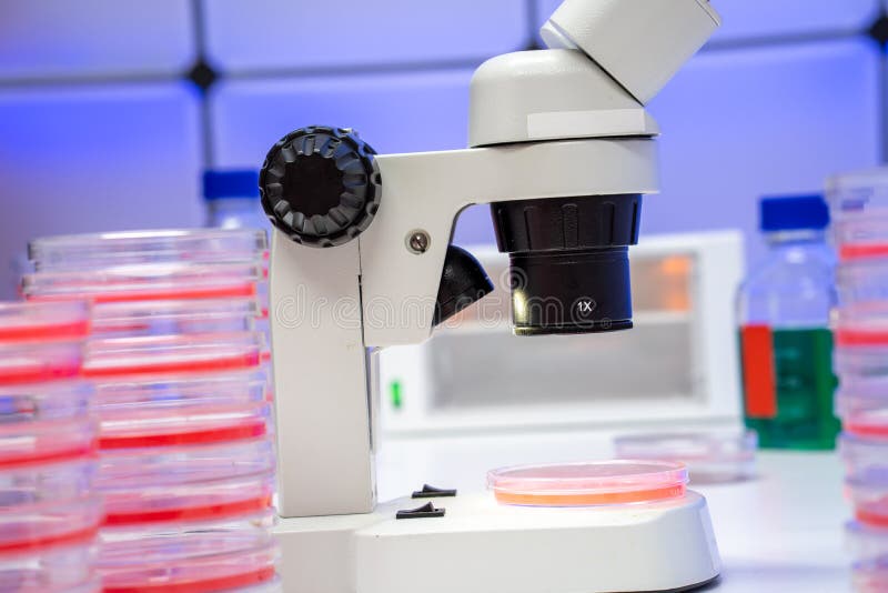 Microscope and petri dish stock photo. Image of check - 161243820