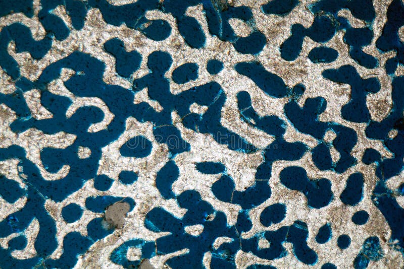 Microscope Photo of a Petrographic Thin Section from a Recent Coral ...