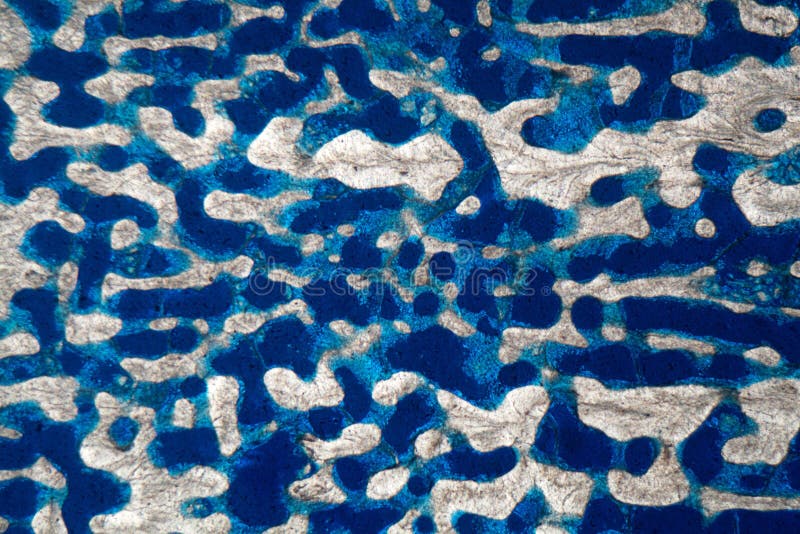 331 Coral Microscope Stock Photos - Free & Royalty-Free Stock Photos ...