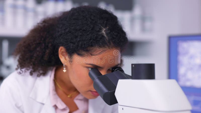 Microscope, Research and Scientist Doing Analysis of Bacteria or ...