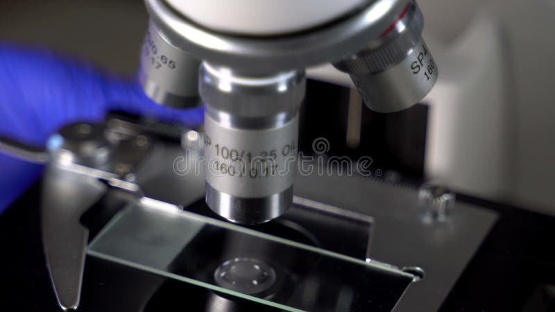 Microscope with Sample Glass. Stock Video - Video of chemistry ...