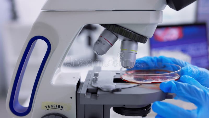 Microscope, Research and Scientist Doing Analysis of Bacteria or ...