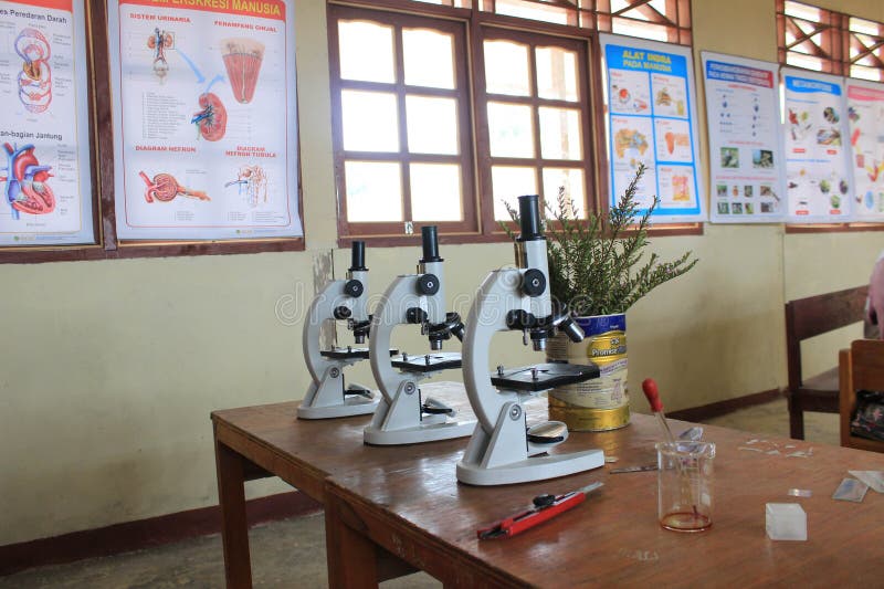 Practicum Stock Photos - Free & Royalty-Free Stock Photos from Dreamstime